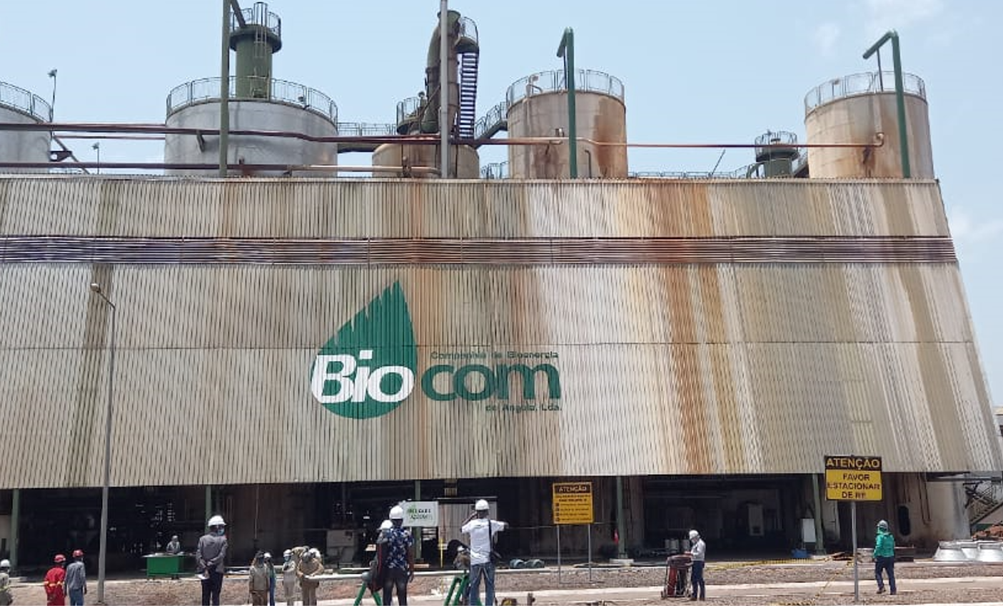 Biokom esticada - Forbes África Lusófona